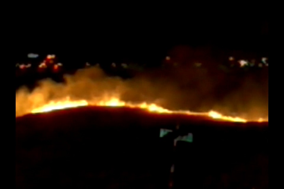 Fire Crews Douse Natomas Regional Park Fire | The Natomas Buzz